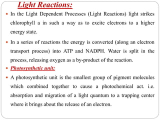 PRIMARY EVENTS IN Photosynthesis | PPTX