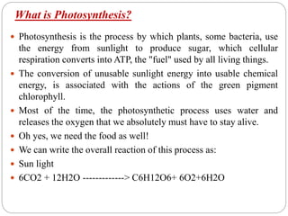 PRIMARY EVENTS IN Photosynthesis | PPTX
