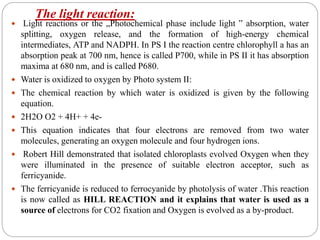 PRIMARY EVENTS IN Photosynthesis | PPTX