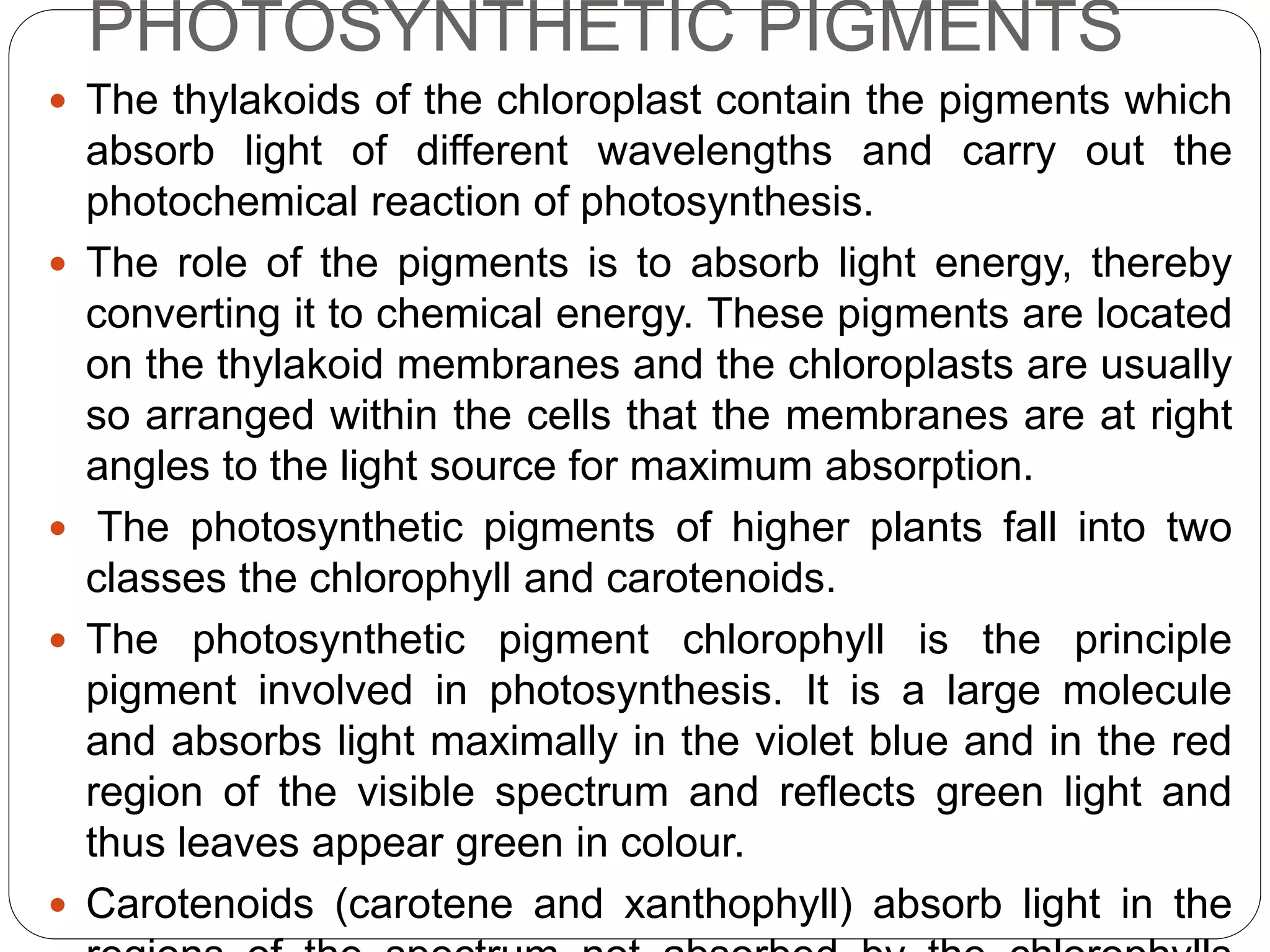 Photosynthesis | PPTX