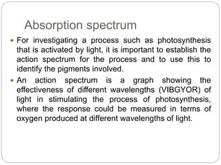 Photosynthesis | PPT