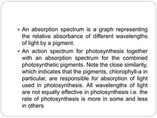 Photosynthesis | PPTX