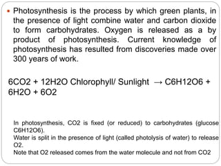 Photosynthesis | PPT