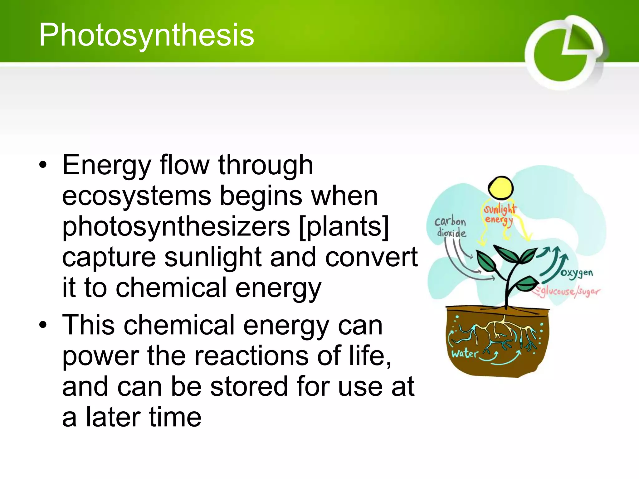 Photosynthesis.pptx