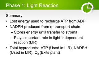 Photosynthesis.pptx