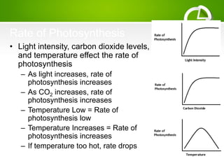 Photosynthesis.pptx