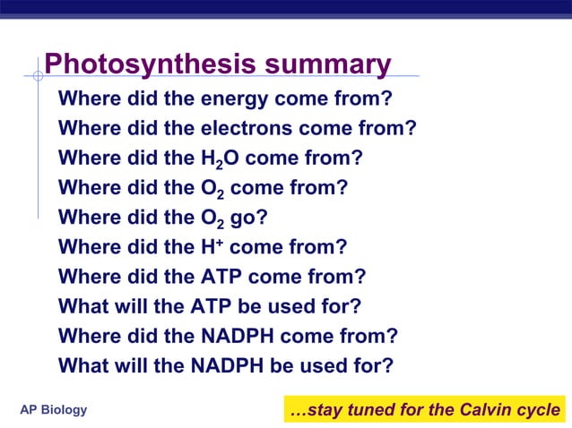 Photosynthesis.ppt