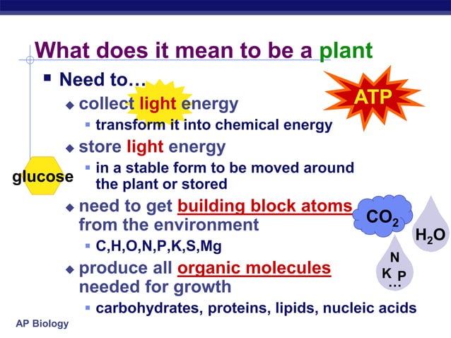 Photosynthesis.ppt
