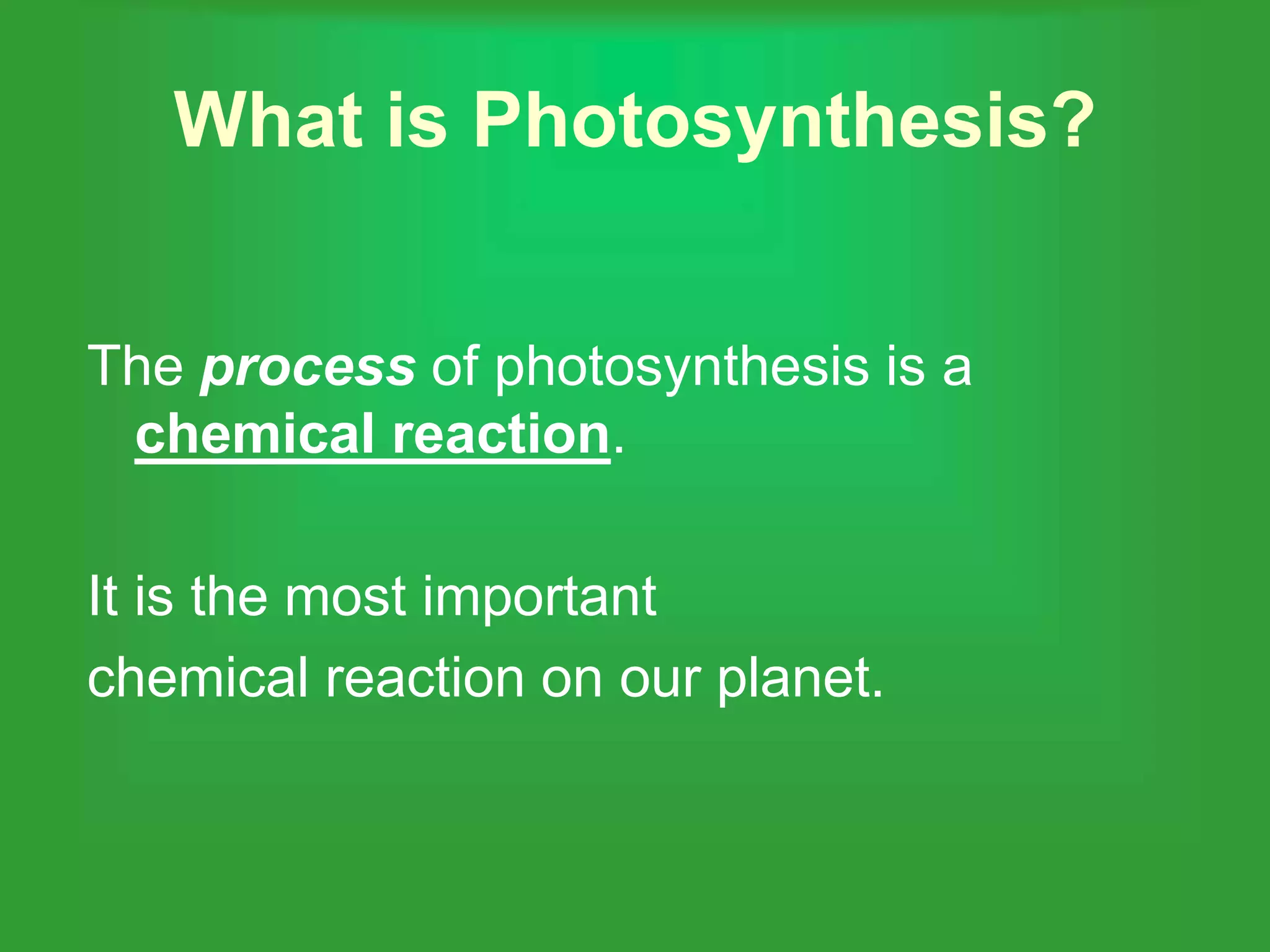 photosynthesis.ppt