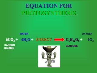 photosynthesis.ppt
