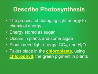 photosynthesis.ppt