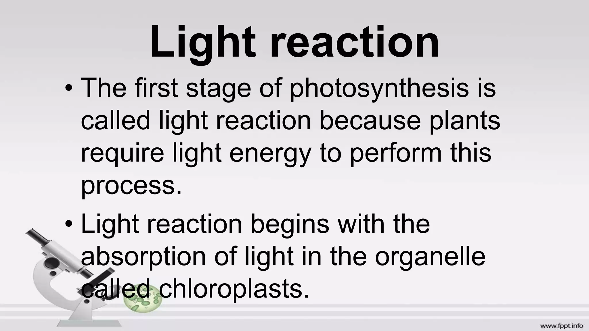 Photosynthesis.pptx