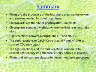 Photosynthesis ptt | PPT