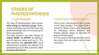 PHOTOSYNTHESIS.pptx