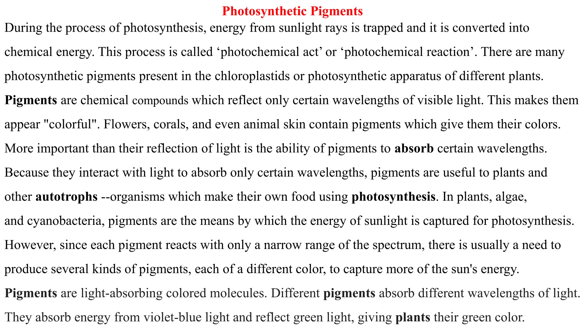 PHOTOSYNTHESIS.pptx