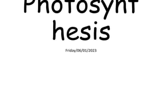 Photosynthesis.pptx
