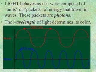 photosynthesis.ppt