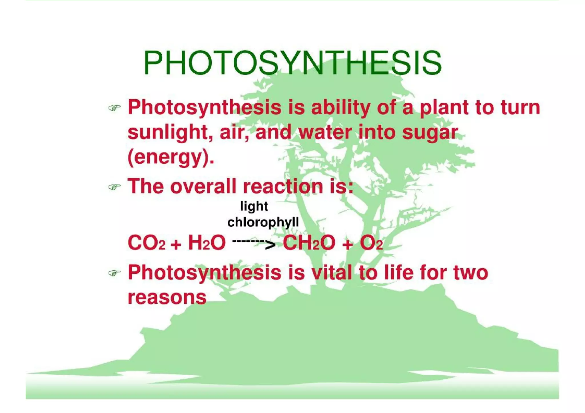 PHOTOSYNTHESIS | PDF