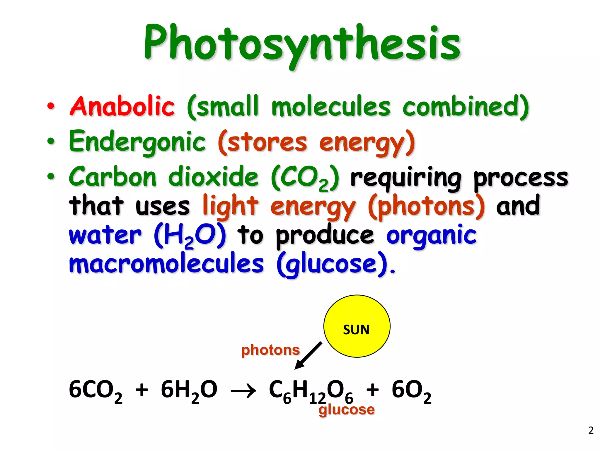 Photosynthesis.pptx