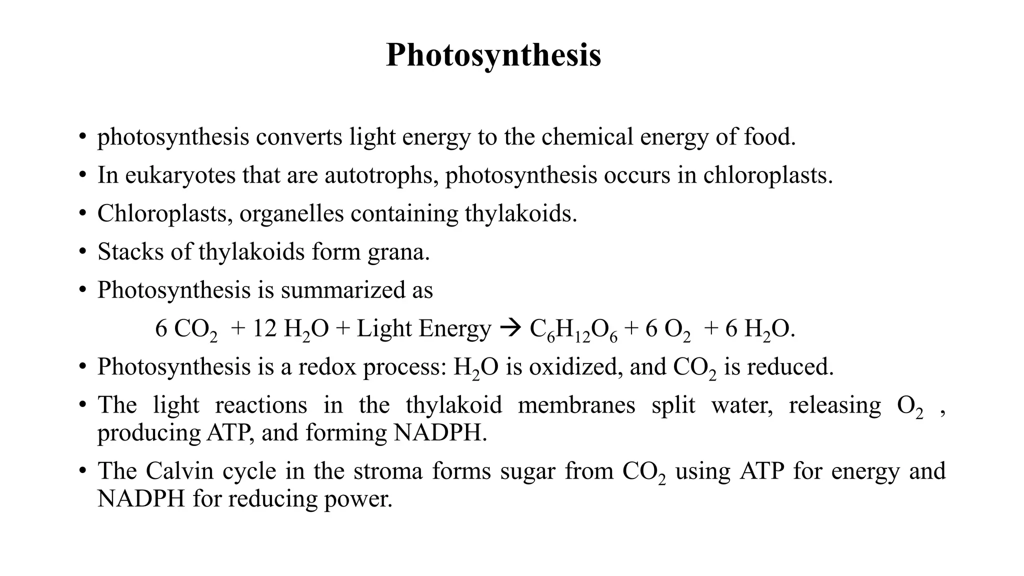 Photosynthesis.pptx