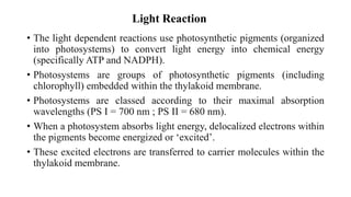 Photosynthesis.pptx