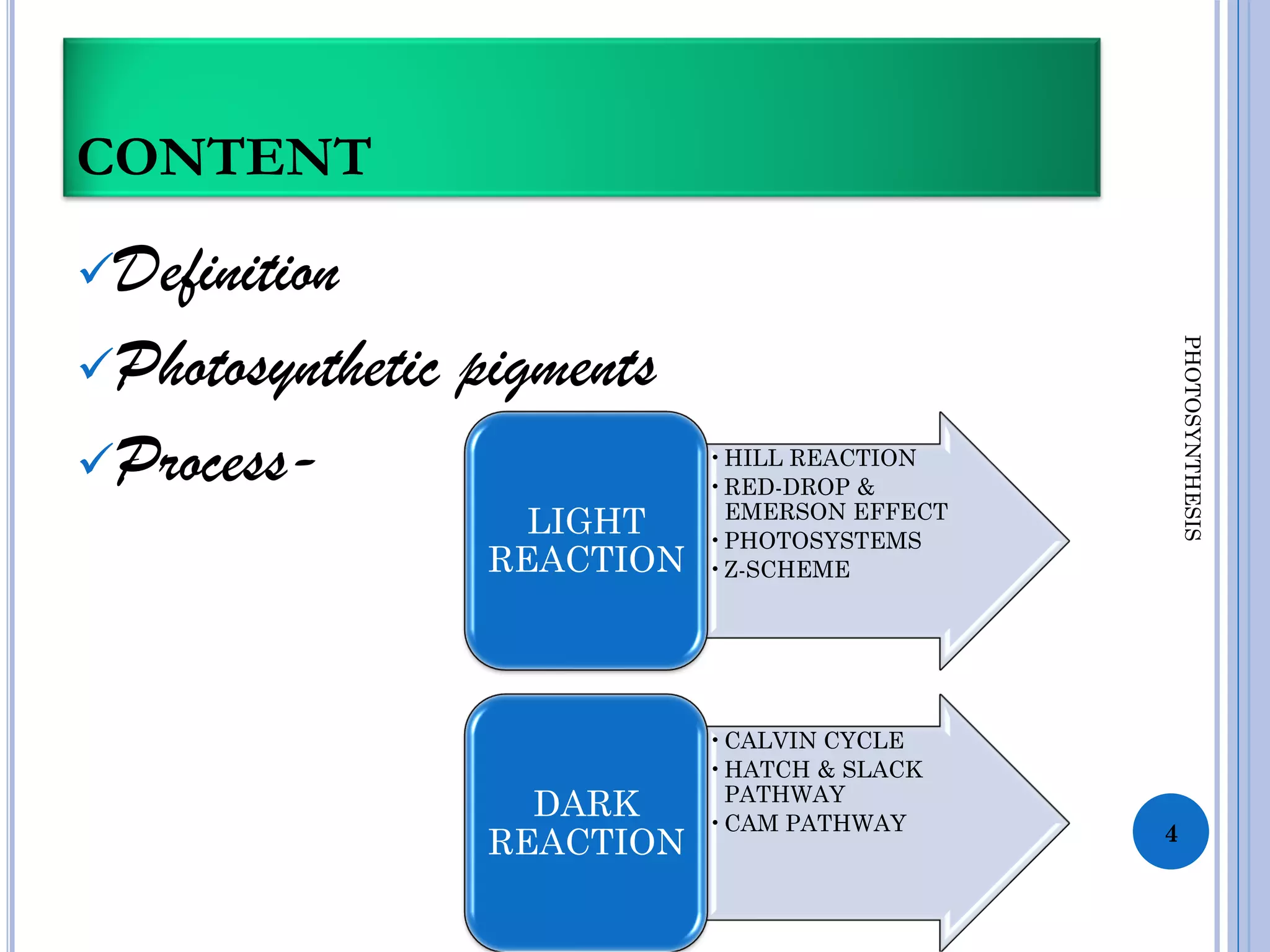 PHOTOSYNTHESIS.pdf