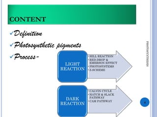 PHOTOSYNTHESIS.pdf