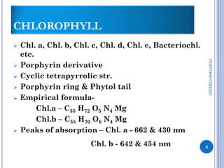PHOTOSYNTHESIS.pdf