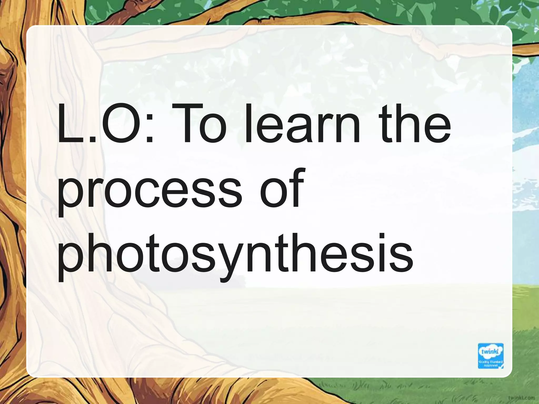 Photosynthesis.ppt