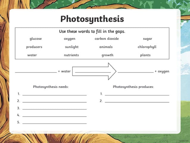 Photosynthesis.ppt