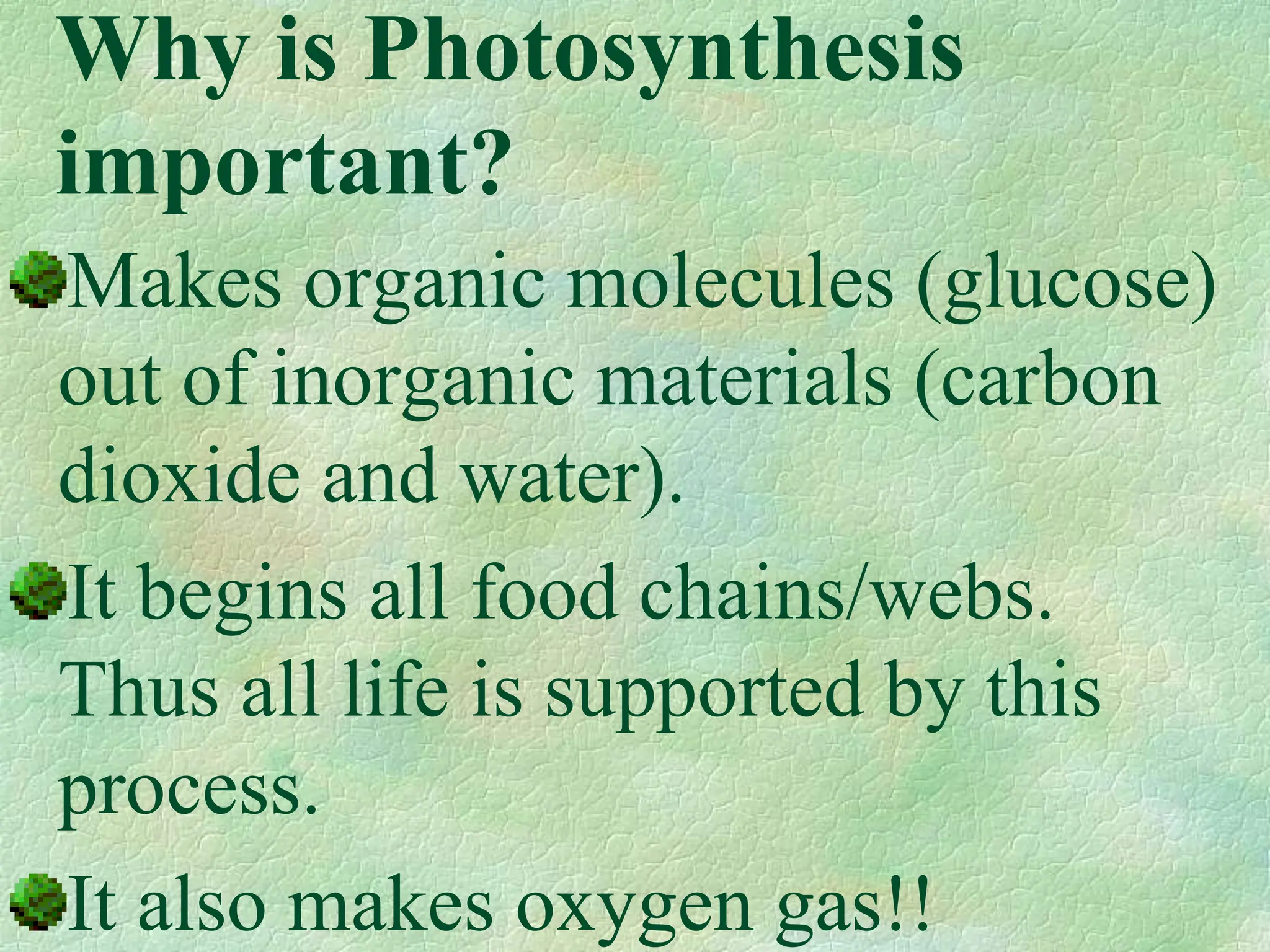 Photosynthesis.ppt