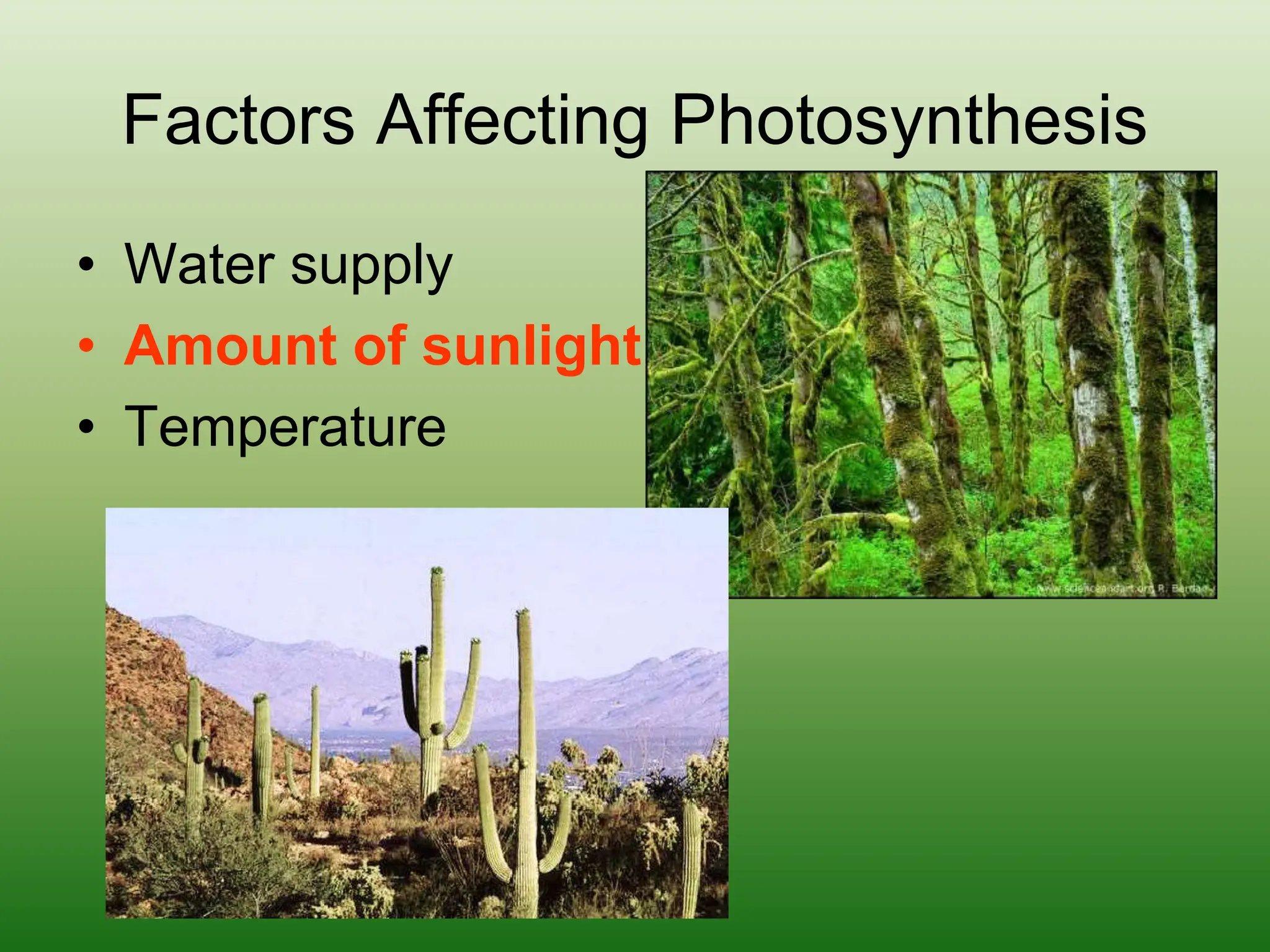 Photosynthesis.ppt | Biological Sciences | Science