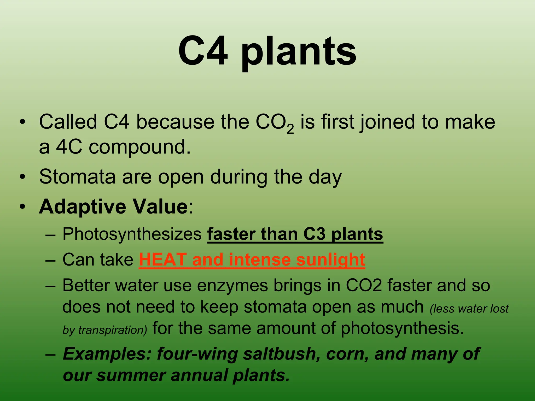 Photosynthesis.ppt | Biological Sciences | Science