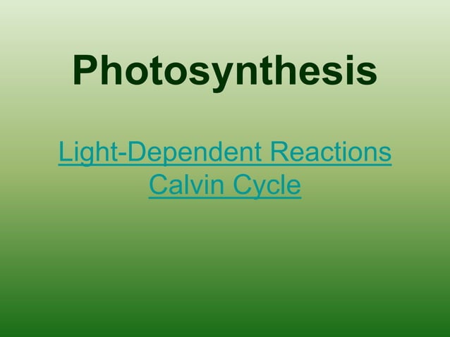 Photosynthesis.ppt | Biological Sciences | Science