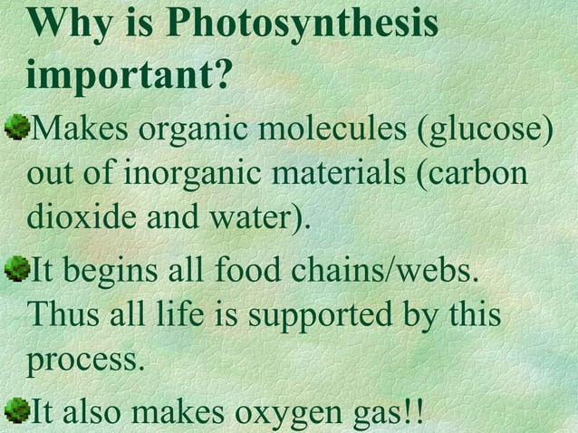 Photosynthesis.ppt | Biological Sciences | Science