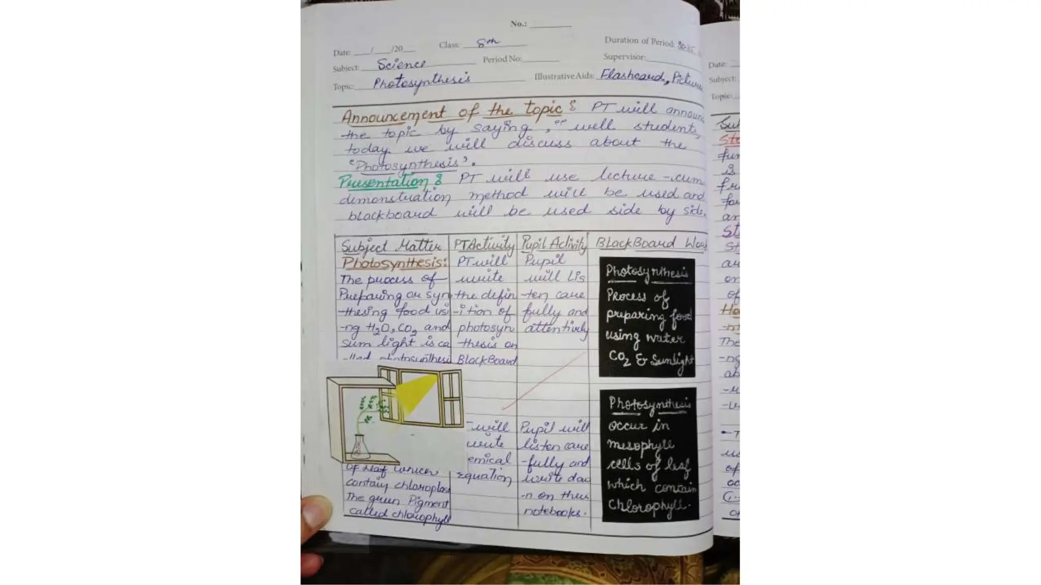 Lesson plan of science (photosynthesis)) | PPTX