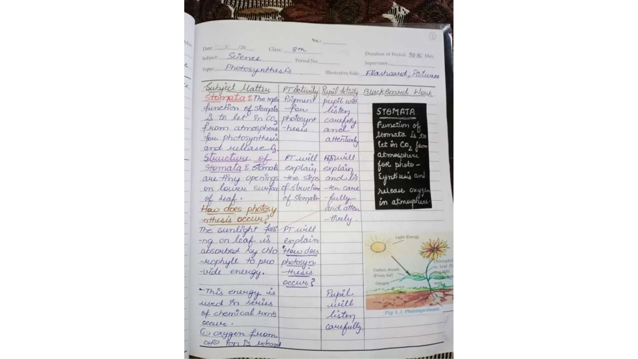 Lesson plan of science (photosynthesis)) | PPTX