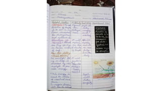 Lesson plan of science (photosynthesis)) | PPTX