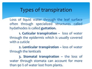 THE PROCESS OF PHOTOSYNTHESIS IN PLANTS PPT | PPTX