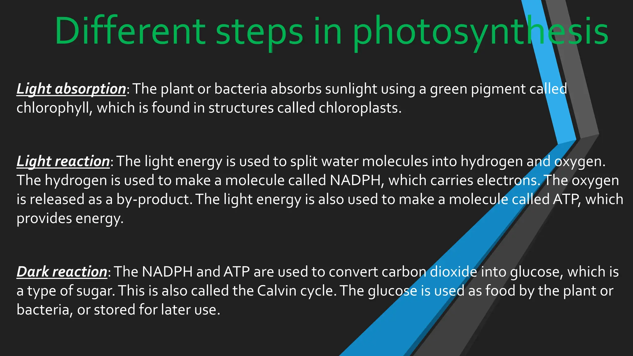 photosynthesis.pptx explaining photosynthesis | PPTX