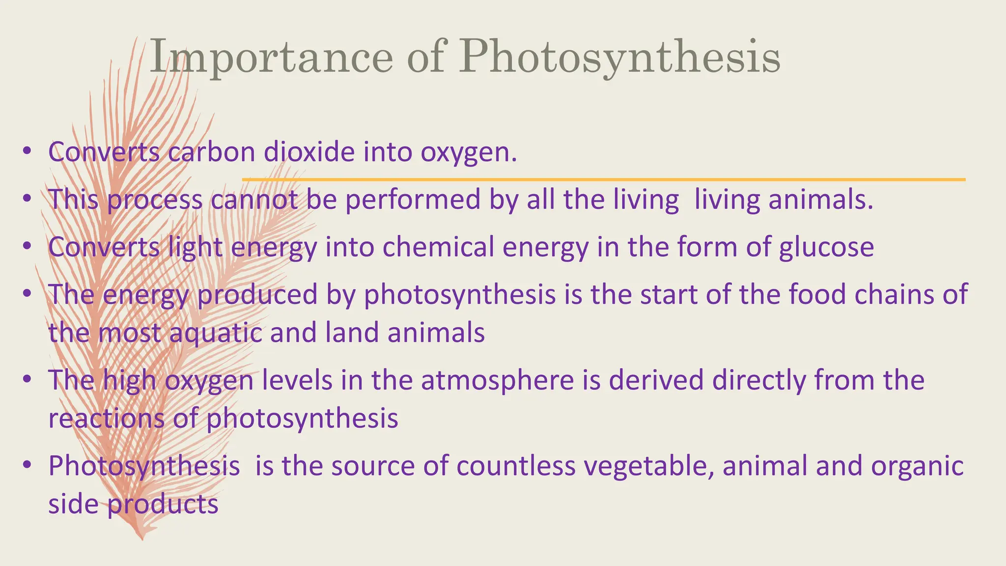 photosynthesis.pptx explaining photosynthesis | PPTX