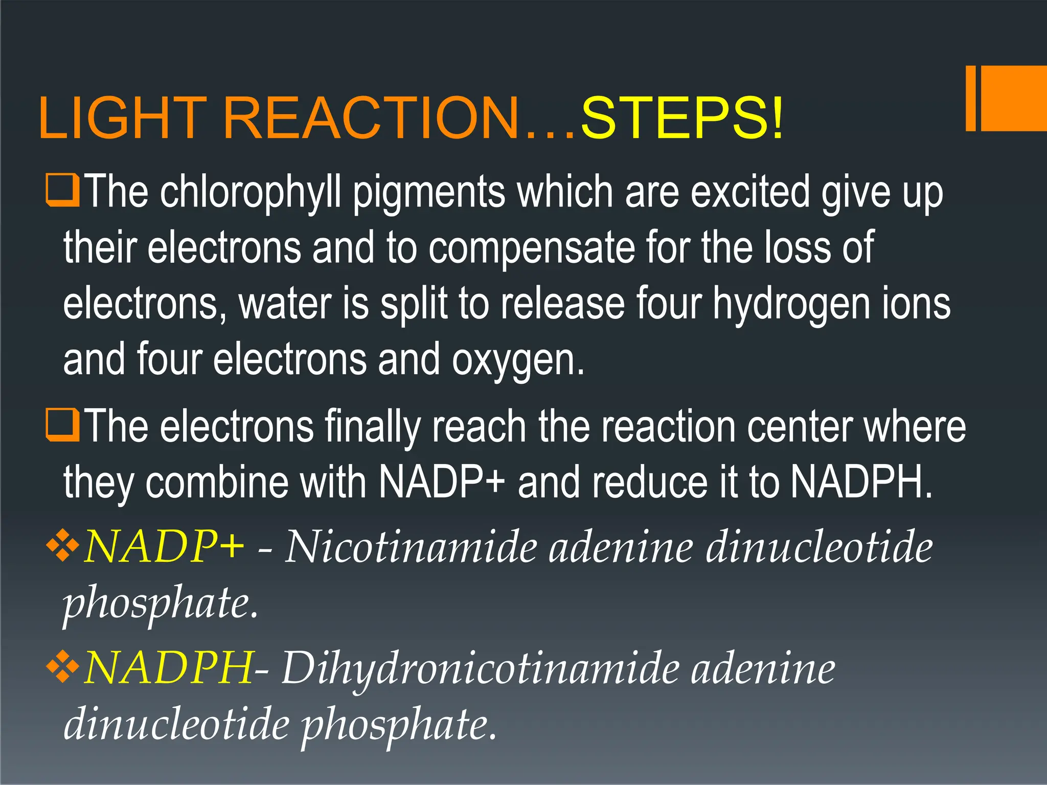 Photosynthesis in plants light reaction.pptx