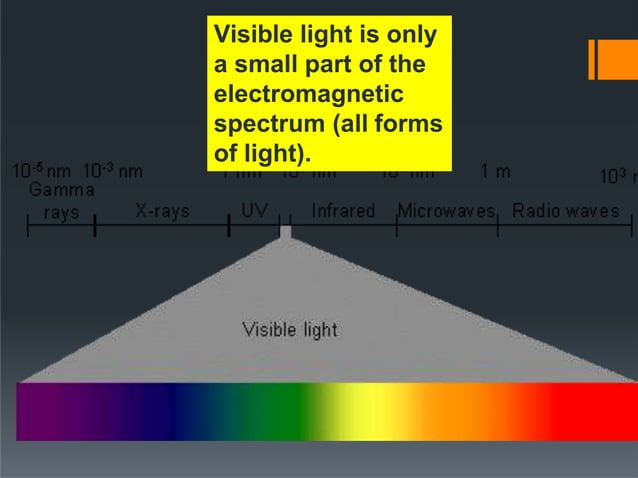 Photosynthesis in plants light reaction.pptx