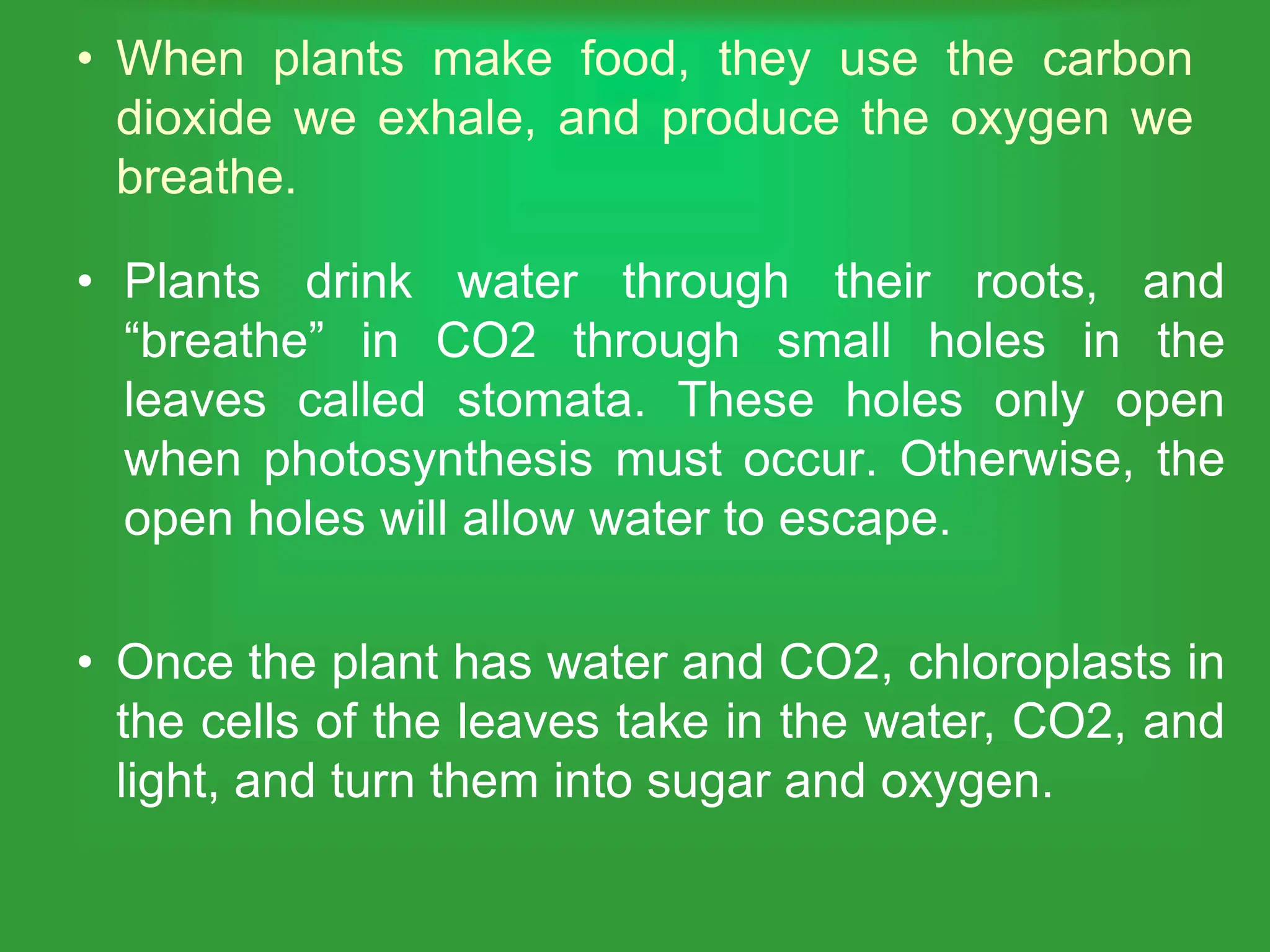 photosynthesis.ppt1234567891011111111111 | PPT