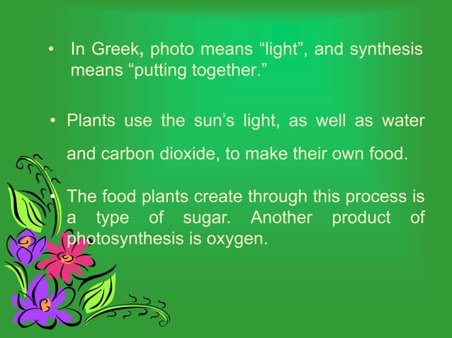 photosynthesis.ppt1234567891011111111111 | PPT