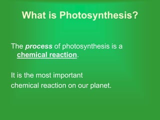 photosynthesis.ppt1234567891011111111111 | PPT