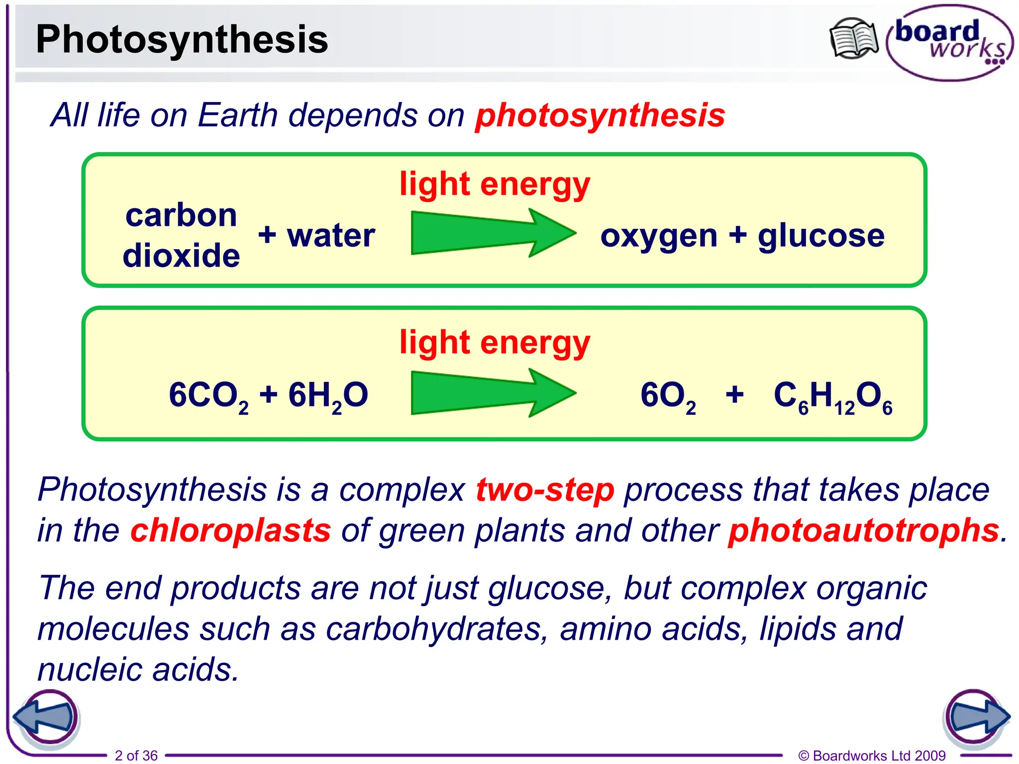 Photosynthesis International A Level Biology Grade 12 | PPTX