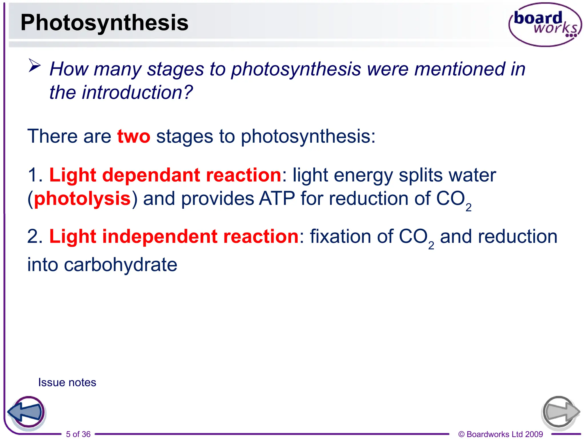 Photosynthesis International A Level Biology Grade 12 | PPTX