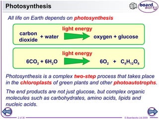 Photosynthesis International A Level Biology Grade 12 | PPTX