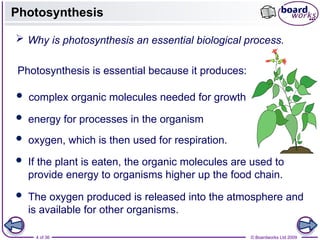 Photosynthesis International A Level Biology Grade 12 | PPTX